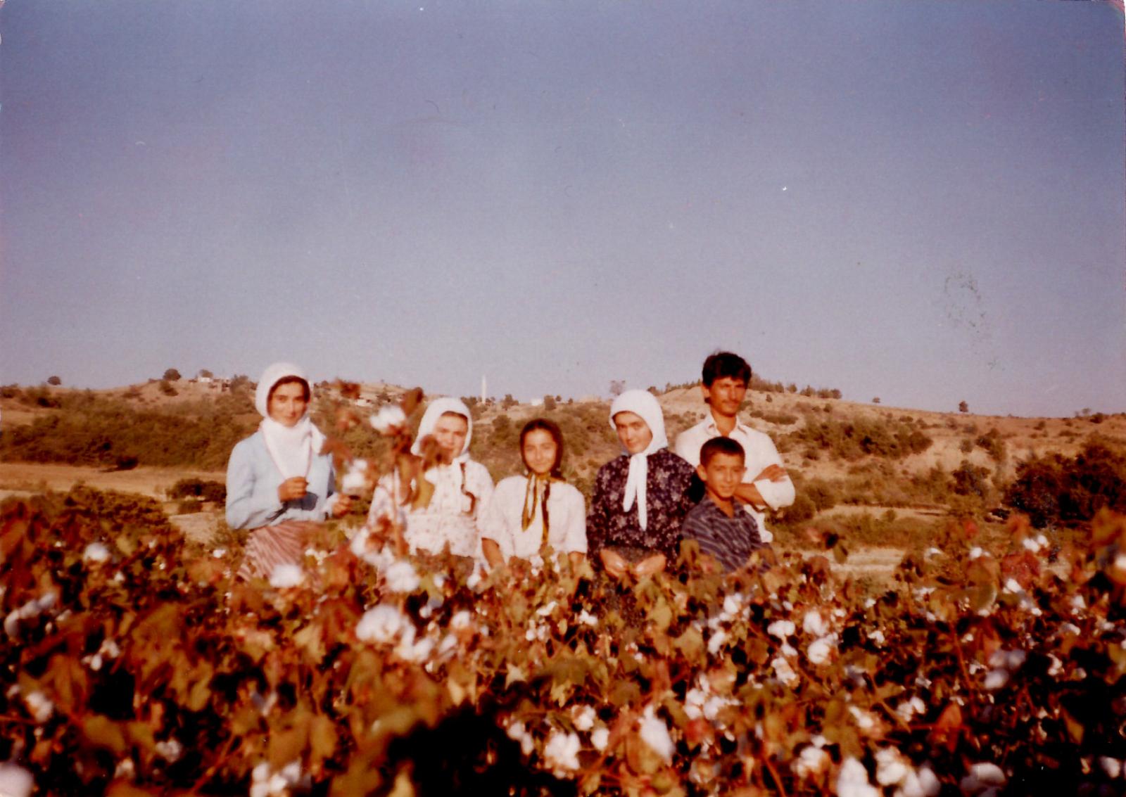 Mahsul - CultureCIVIC