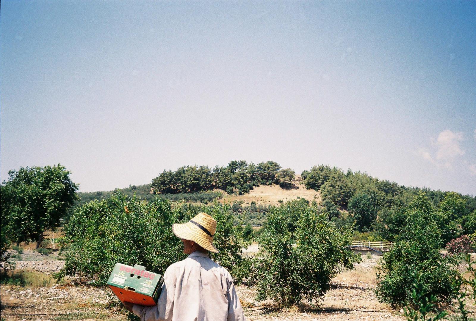 Mahsul - CultureCIVIC